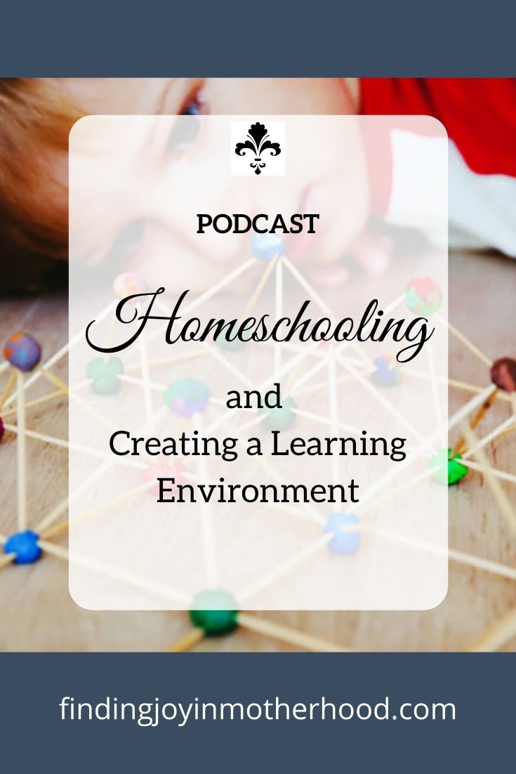 Thoughts on Homeschooling - Finding Joy in Motherhood